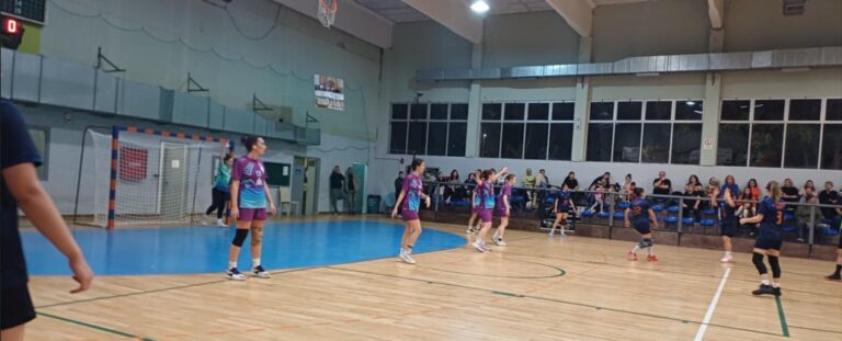 Palmare – Greek Handball Palmare